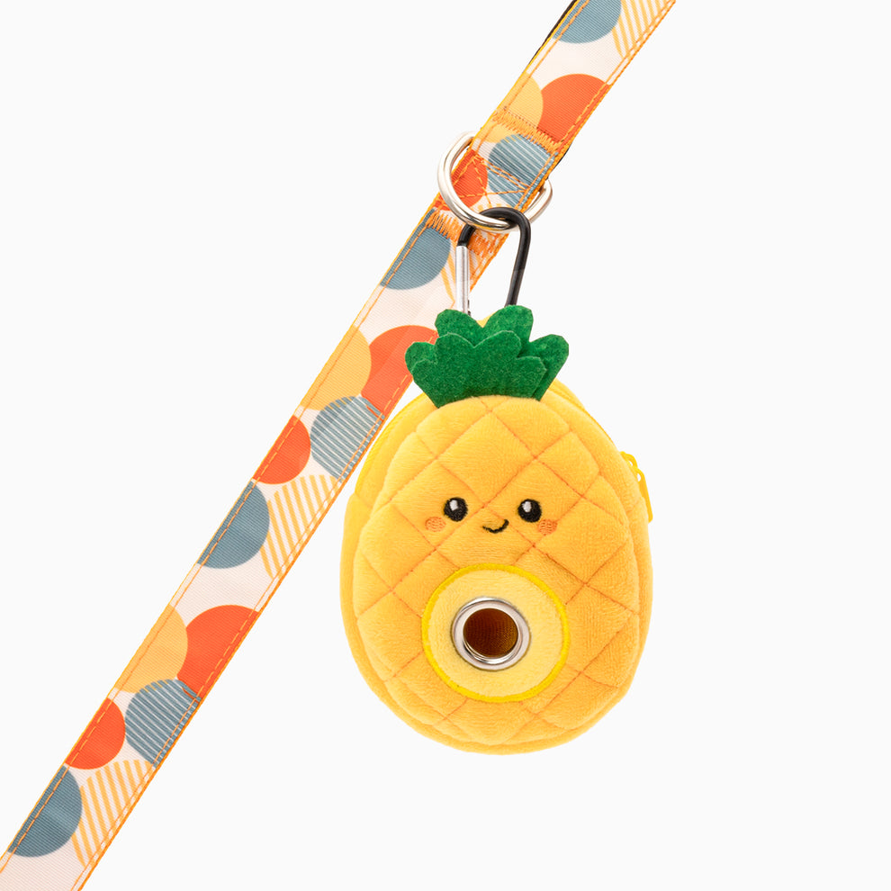 Pooch Pouch – Pineapple – Hugsmart Pet